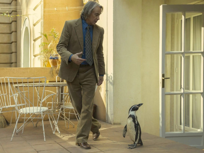 Steve Coogan Shines in Uplifting Dramedy ‘The Penguin Lessons ...